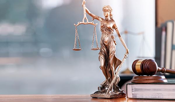 Mental Illness, the Fourth Amendment, and Deadly Force Mental Illness, the Fourth Amendment, and Deadly Force